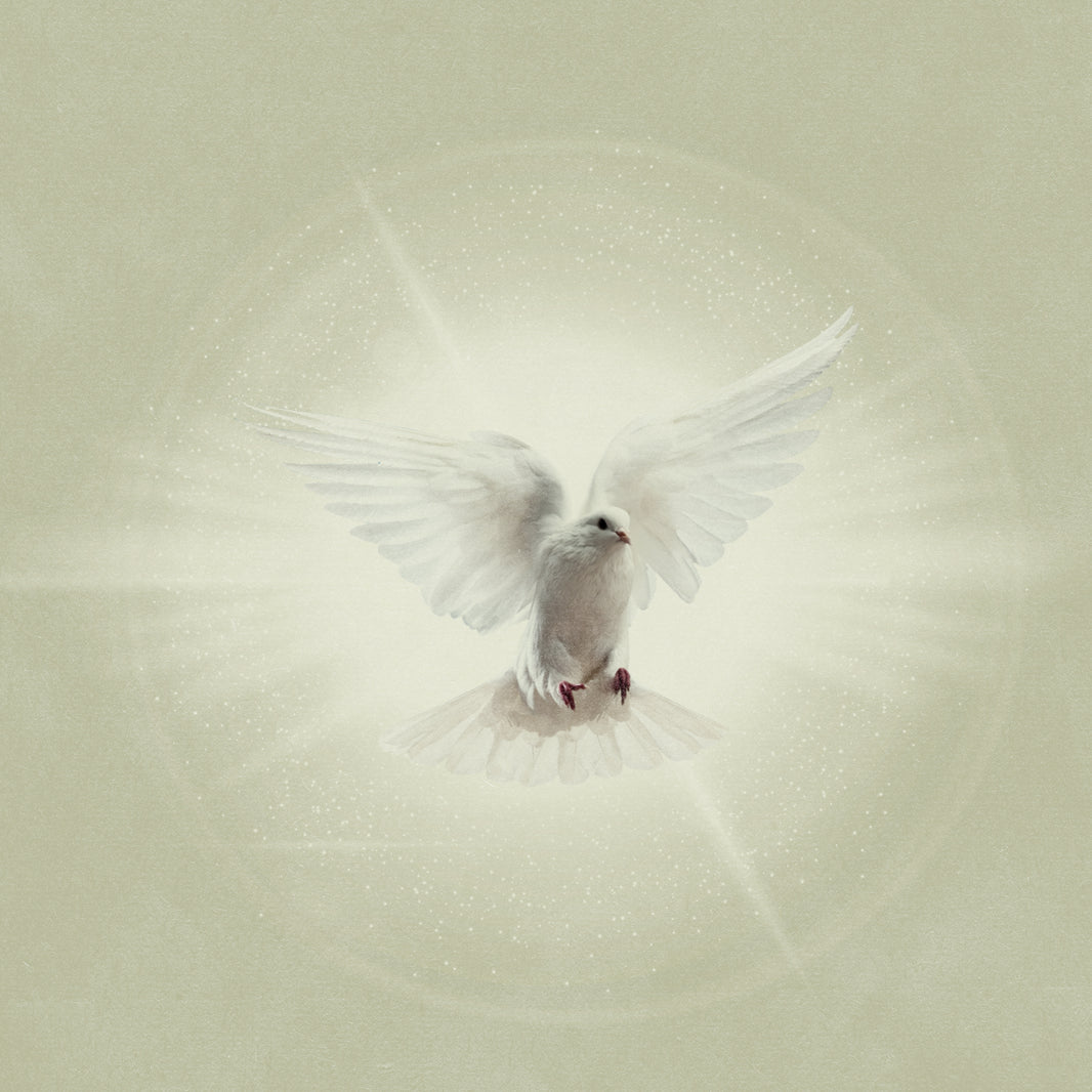 Tend the Ground – OCP Worship